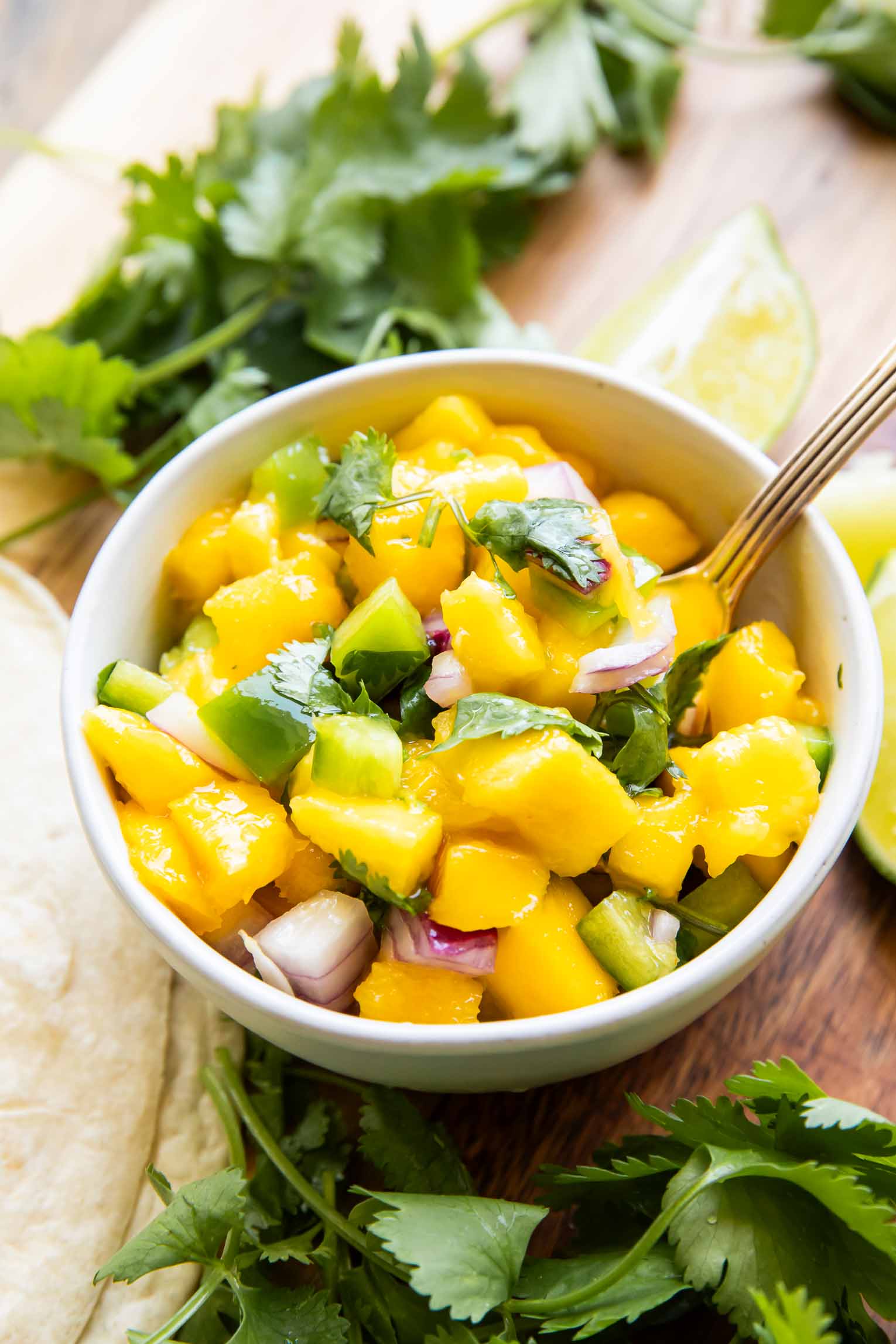 Easy Homemade Mango Salsa - Jar Of Lemons
