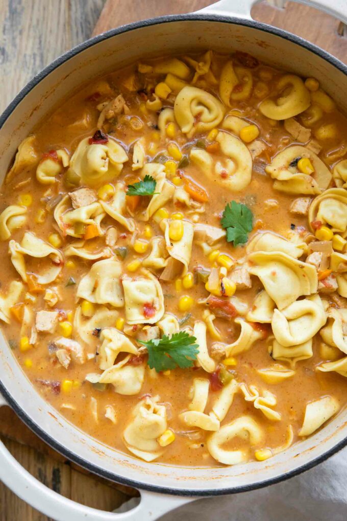 Creamy Protein Soup Recipe - Jar of Lemons