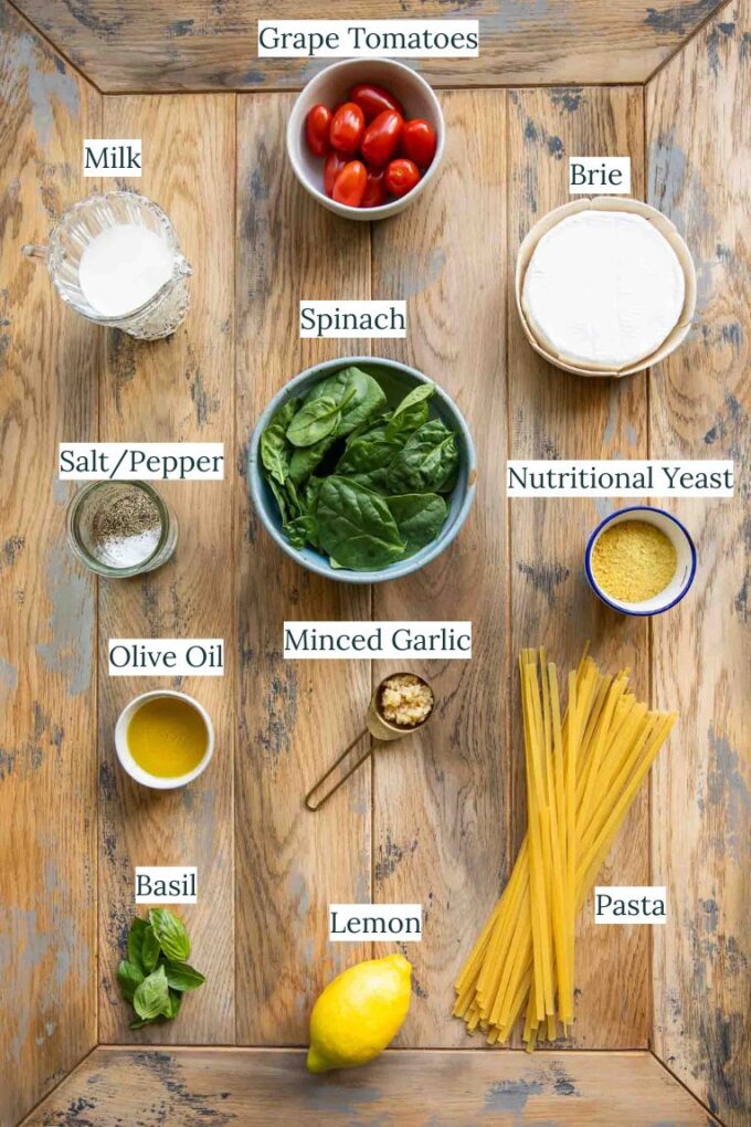Creamy Brie Pasta Recipe - Jar Of Lemons